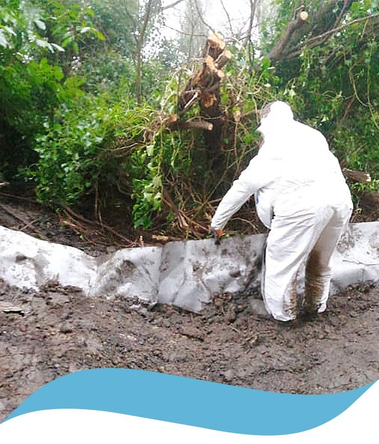 Root Barrier » Dunton